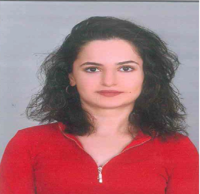 Anıl Yeminli Mali Müşavirlik ve Bağımsız Denetim